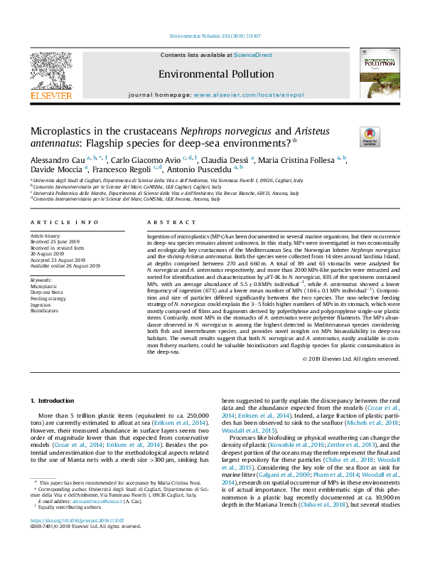 (PDF) Microplastics in the crustaceans Nephrops norvegicus and Aristeus ...