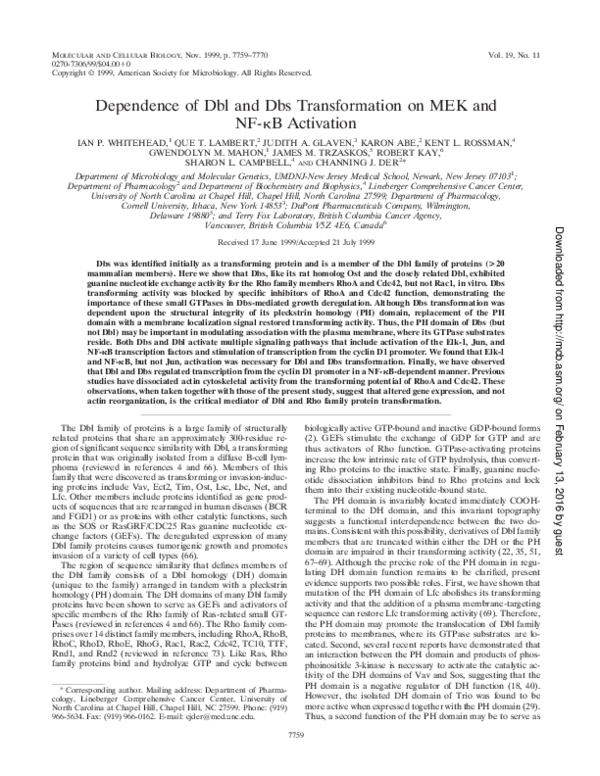 (PDF) Dependence of Dbl and Dbs Transformation on MEK and NF-κB Activation