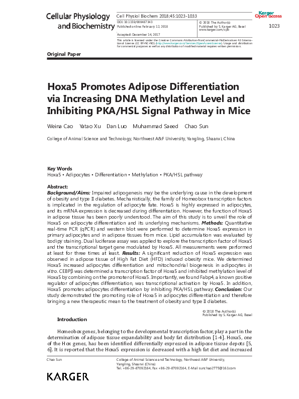 (PDF) Hoxa5 Promotes Adipose Differentiation via Increasing DNA ...