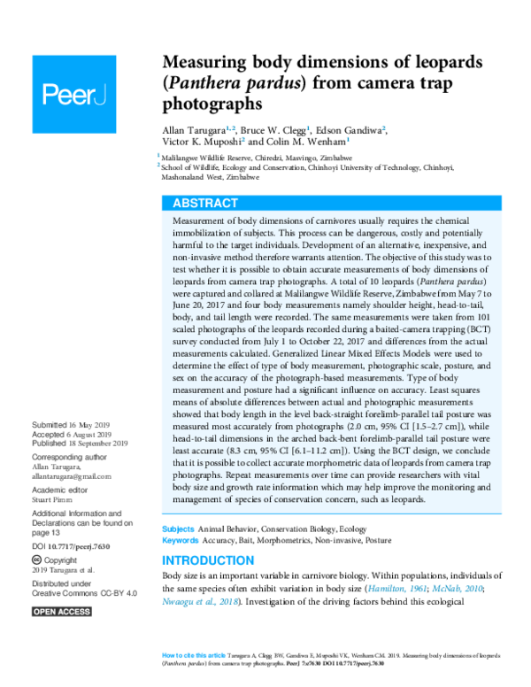 (PDF) Measuring body dimensions of leopards (Panthera pardus) from ...