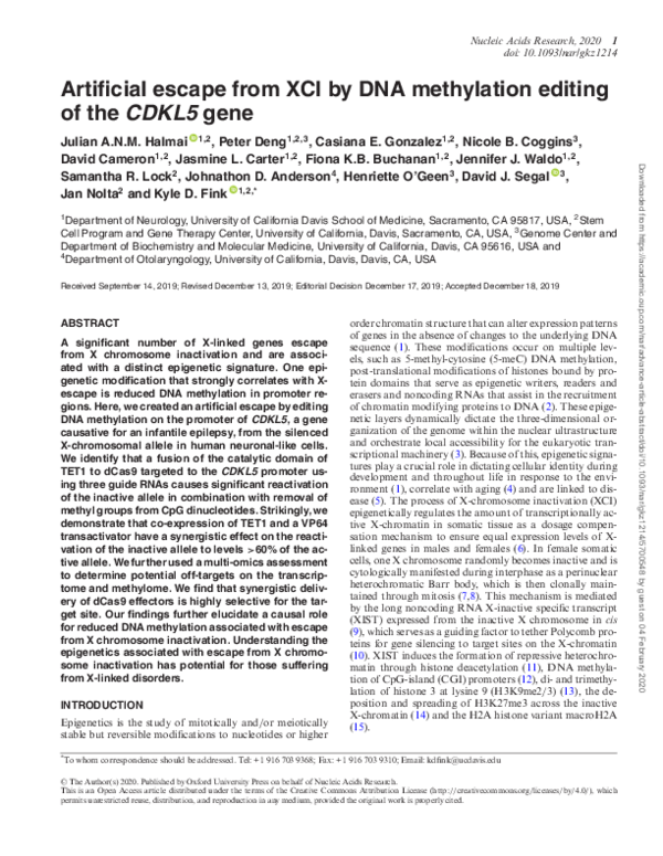 (PDF) Artificial escape from XCI by DNA methylation editing of the ...