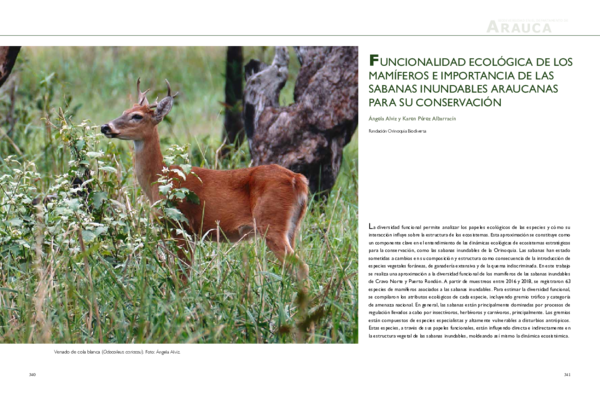 (PDF) Funcionalidad ecológica de los mamíferos e importancia de las sabanas inundables araucanas ...