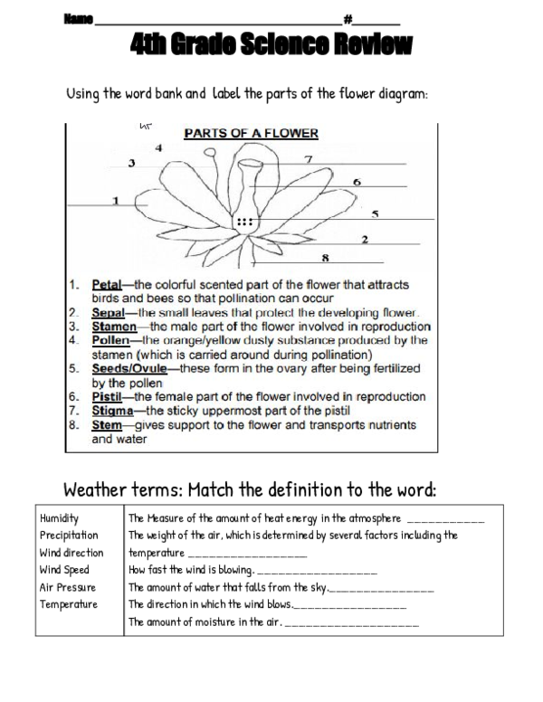 PDF 4th Grade Science Review Kelsey Carreon Academia edu pdf-4th-grade-science-review-kelsey-carreon-academia-edu