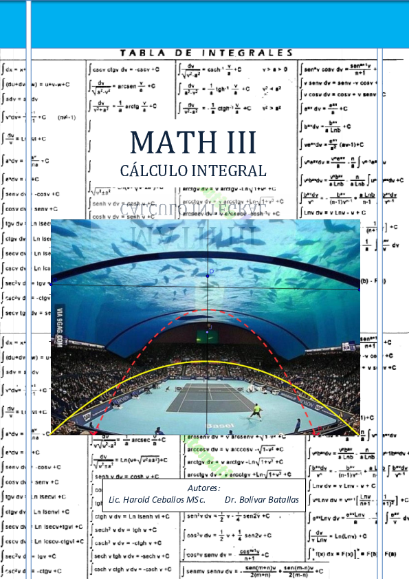 (PDF) MATH III CÁLCULO INTEGRAL