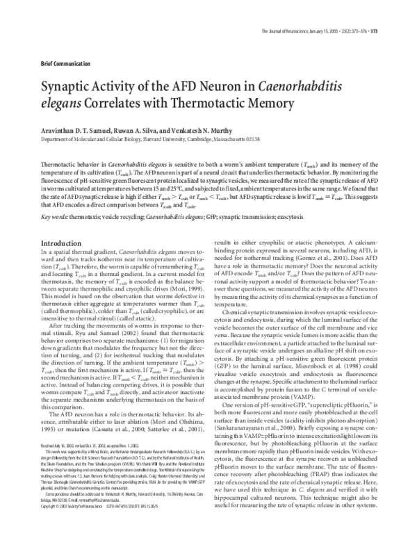 (PDF) Synaptic Activity of the AFD Neuron inCaenorhabditis elegans ...