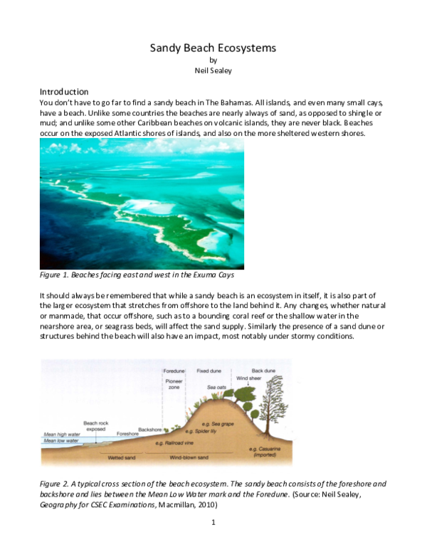 (PDF) Sandy Beach Ecosystems in The Bahamas