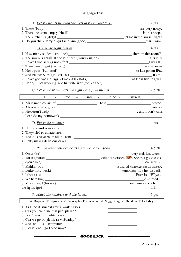 (PDF) A Language Test for Beginners