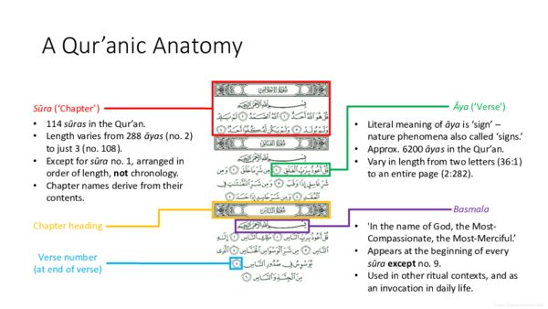 (PDF) A Qur'anic Anatomy