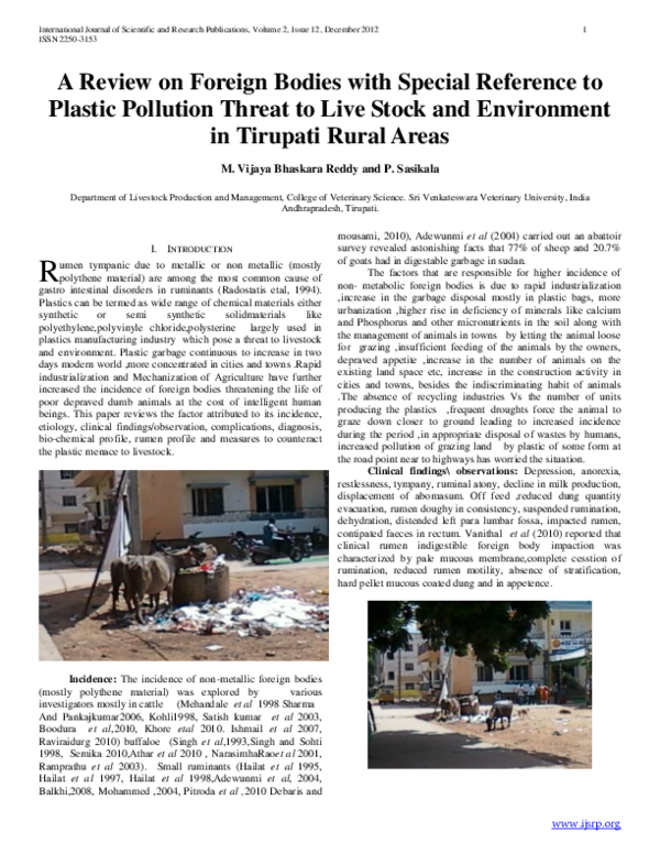 (PDF) SURGICAL MANAGEMENT OF RUMINAL IMPACTION DUE TO FEEDING OF ...