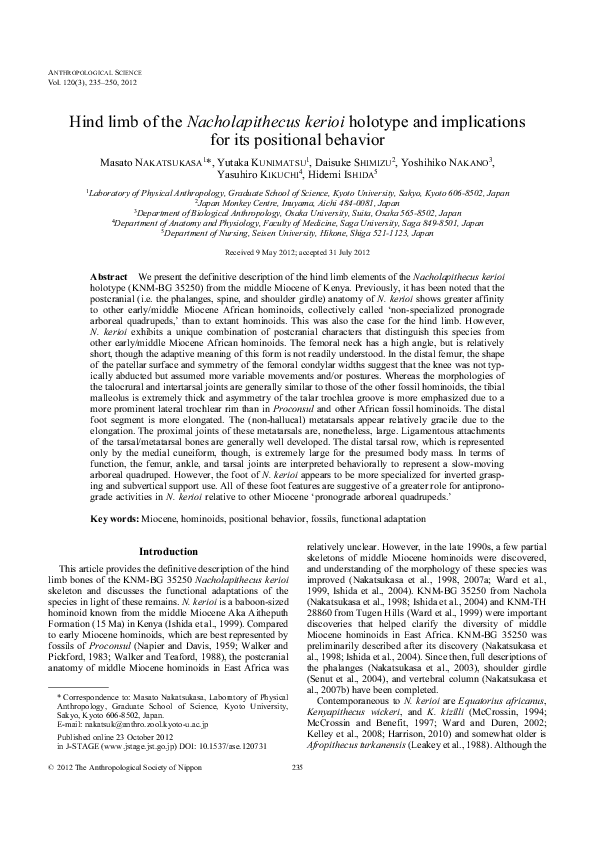 (PDF) Hind limb of the Nacholapithecus kerioi holotype and implications ...