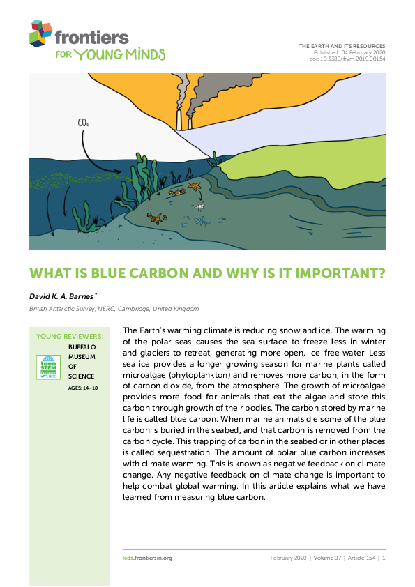 (PDF) WHAT IS BLUE CARBON AND WHY IS IT IMPORTANT