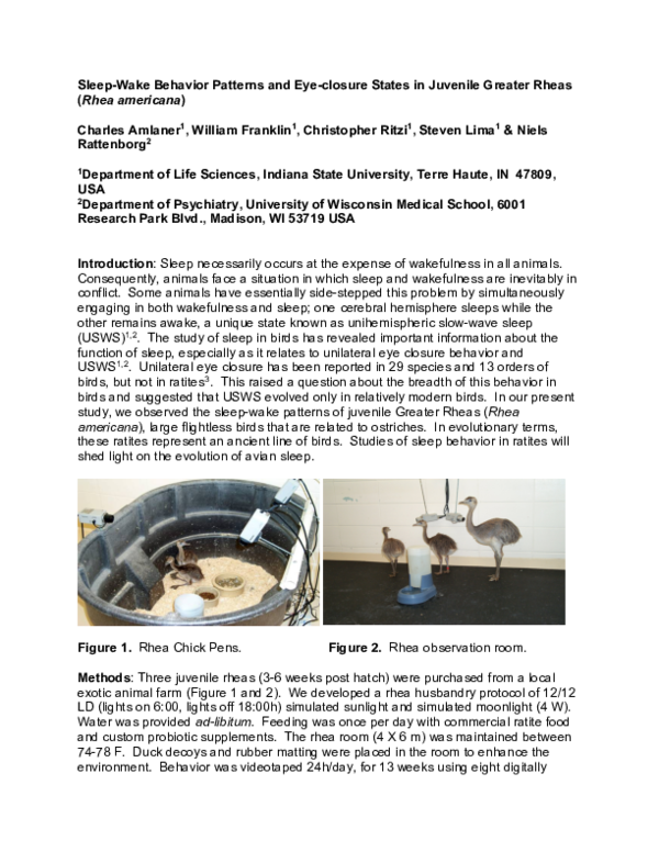 (PDF) Sleep-Wake Behavior Patterns and Eye Closure States in Juvenile ...