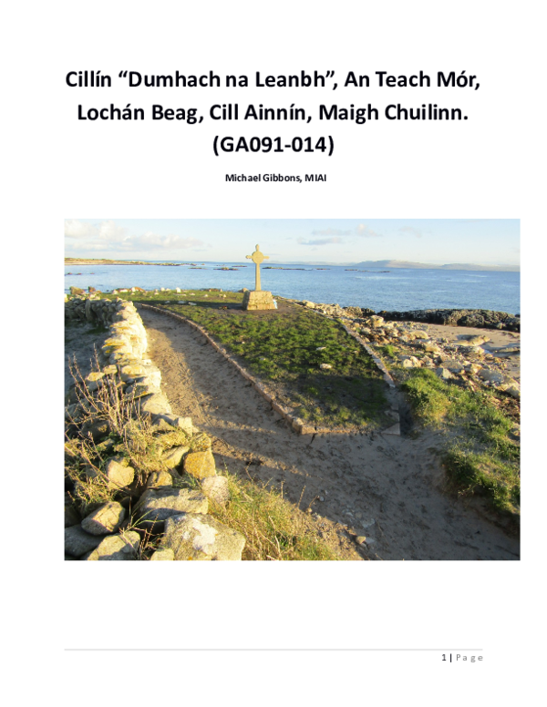 (PDF) Cillín “Dumhach na Leanbh”, An Teach Mór, Lochán Beag, Cill ...
