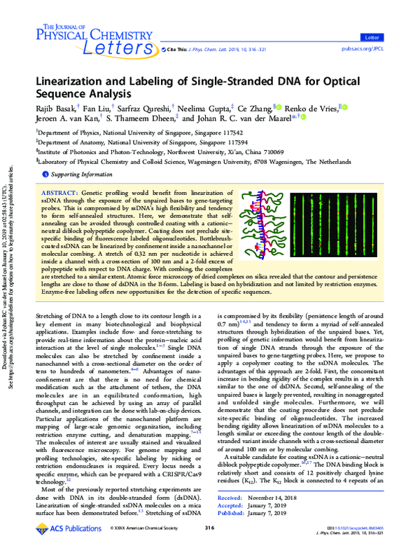 (PDF) Linearization and Labeling of Single-Stranded DNA for Optical ...