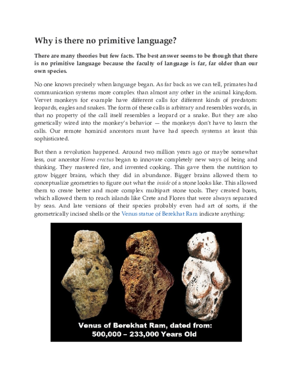 (PDF) Why is there no primitive language?