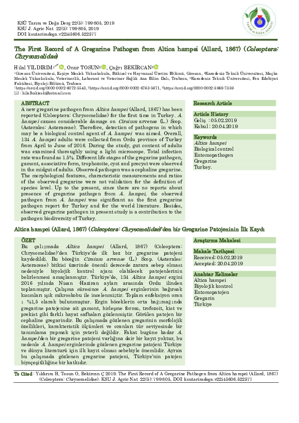 (PDF) The First Record of A Gregarine Pathogen from Altica hampei ...