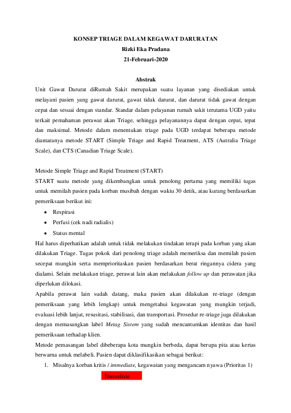 (DOC) KONSEP TRIAGE DALAM KEGAWAT DARURATAN PT