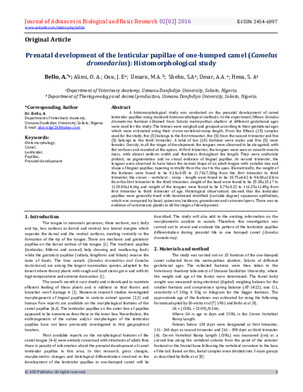 (PDF) Prenatal development of the lenticular papillae of one-humped ...