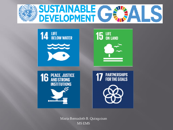 (PPT) SDG 14-17