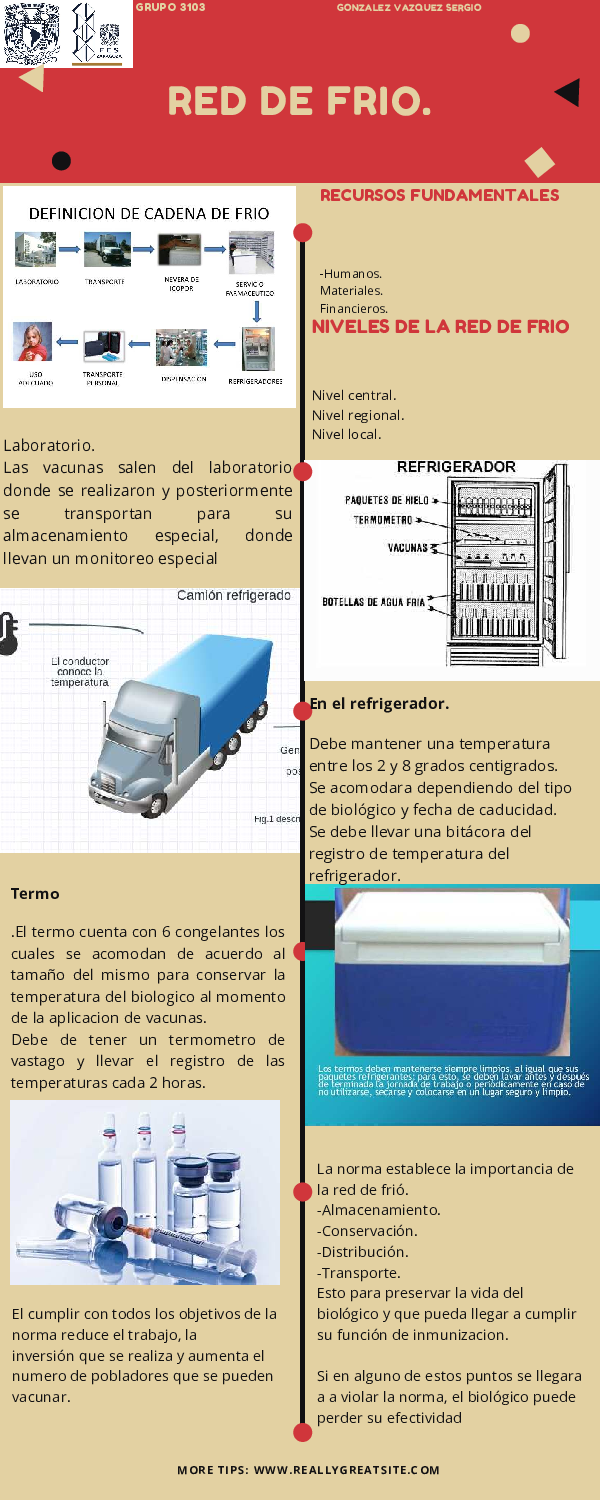 (PDF) NIVELES DE LA RED DE FRIO