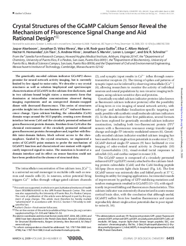 (PDF) Crystal Structures of the GCaMP Calcium Sensor Reveal the ...
