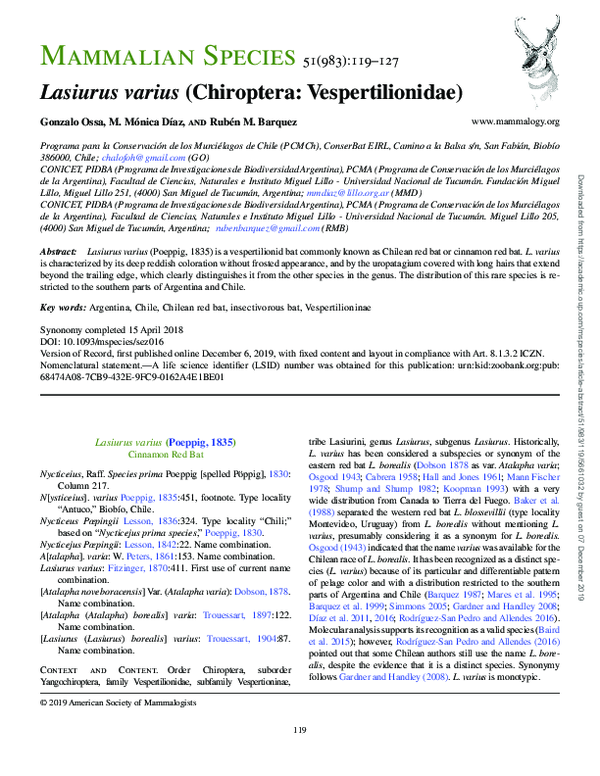 (PDF) Lasiurus varius (Chiroptera: Vespertilionidae) Lasiurus varius ...