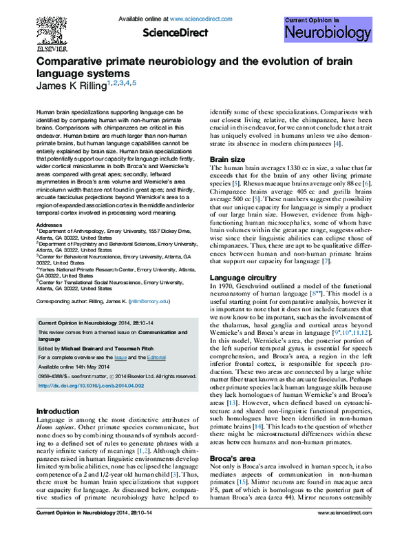 (PDF) Comparative primate neurobiology and the evolution of brain ...