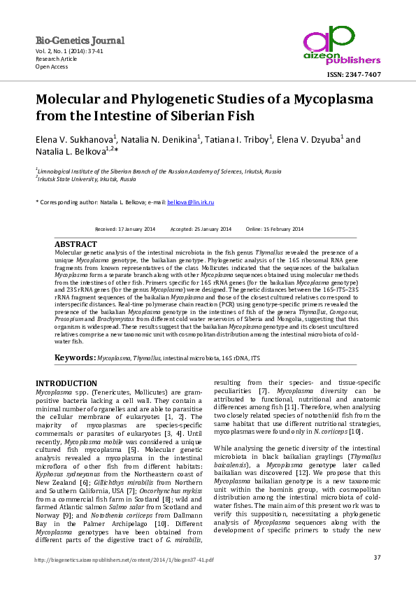 (PDF) Molecular and phylogenetic studies of a Mycoplasma from the ...