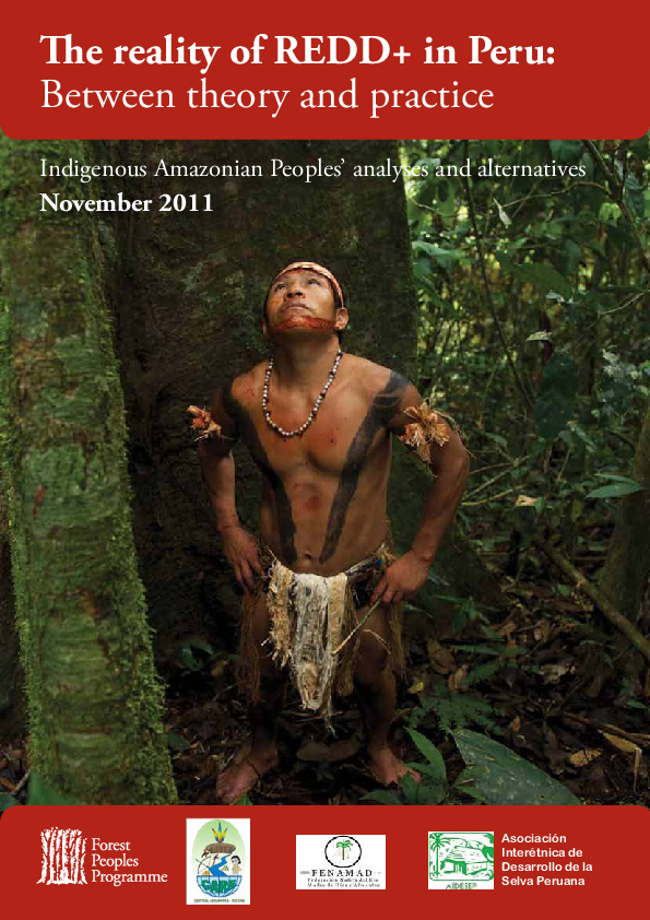 (PDF) The reality of REDD+ in Peru: Between theory and practice ...
