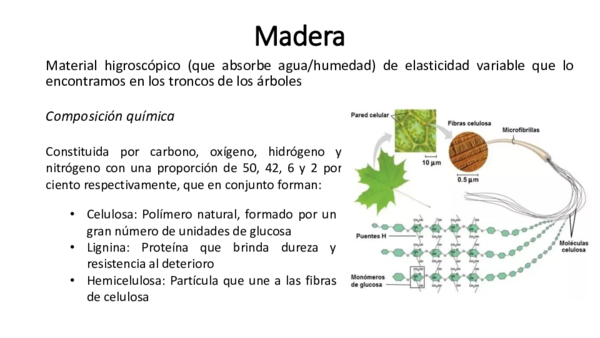 (PPT) Madera