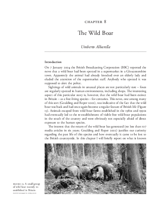 (PDF) The Wild Boar