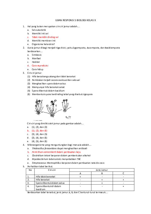 (DOC) UJIAN RESPONSI 5 BIOLOGI KELAS X