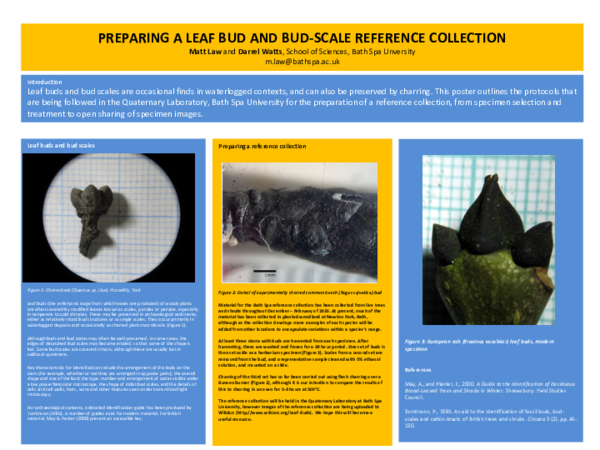 (PDF) PREPARING A LEAF BUD AND BUD-SCALE REFERENCE COLLECTION