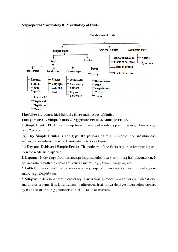 (PDF) Angiosperms MorphologyII: Morphology of fruits