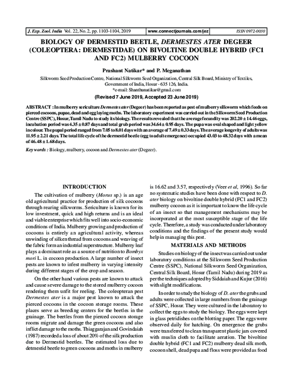 (PDF) BIOLOGY OF DERMESTID BEETLE, DERMESTES ATER DEGEER (COLEOPTERA ...