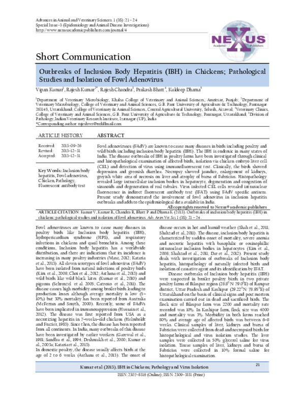 (PDF) Outbreaks of Inclusion Body Hepatitis (IBH) in Chickens ...