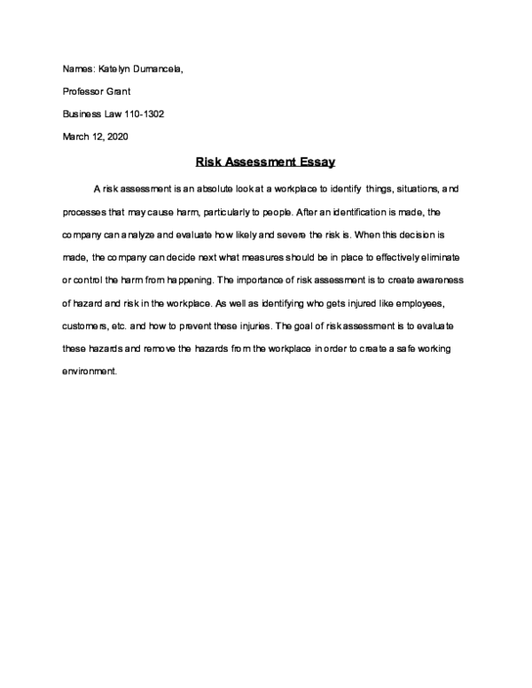 (PDF) Risk Assessment Essay