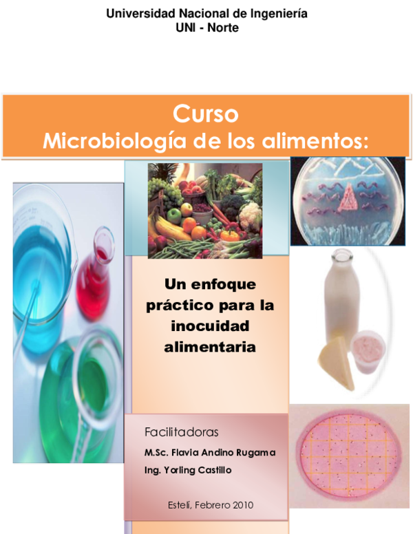(PDF) Un enfoque práctico para la inocuidad alimentaria Curso Microbiología de los alimentos