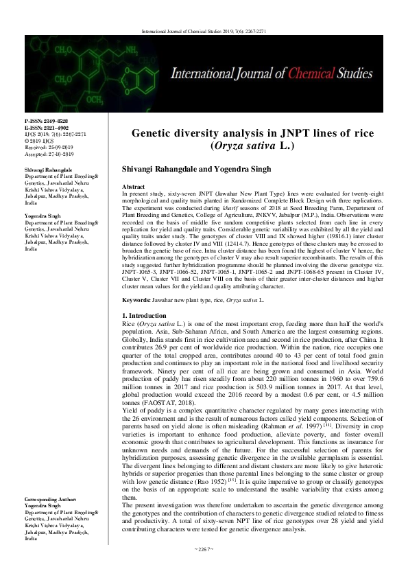 (PDF) Genetic diversity analysis in JNPT lines of rice (Oryza sativa L | Shivangi Rahangdale ...