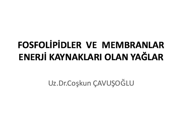 (PDF) FOSFOLİPİTLER VE MEMBRANLAR