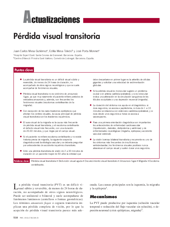 (PDF) Pérdida visual transitoria Puntos clave