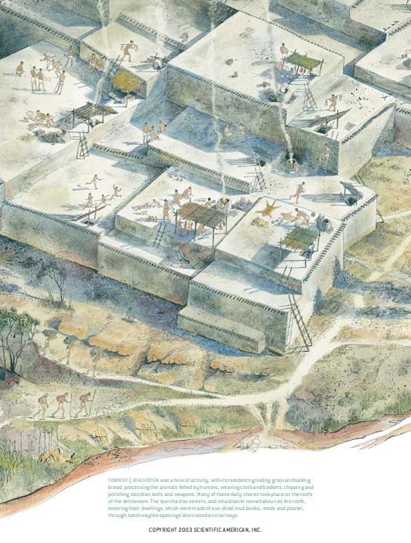 (PDF) Ian Hodder - Woman and men - Scientif american, vol 290 jan