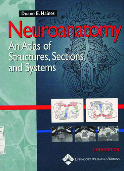 (PDF) Neuroanatomy An Atlas of Structures Sections and Systems Duane E ...