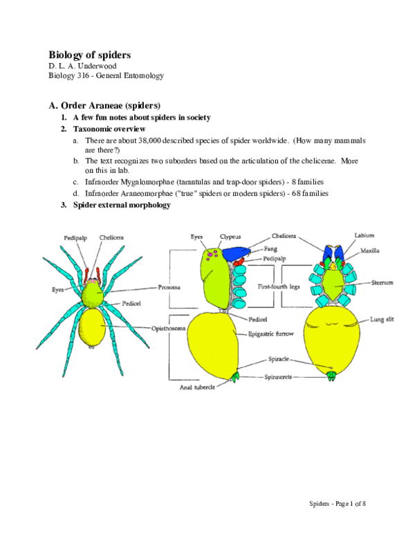(PDF) Biology of spiders A. Order Araneae (spiders