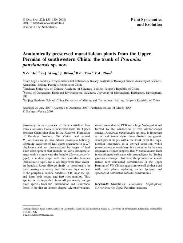 (PDF) Anatomically preserved marattialean plants from the Upper Permian ...