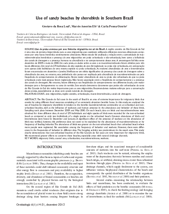 (PDF) Use of sandy beaches by shorebirds in Southern Brazil