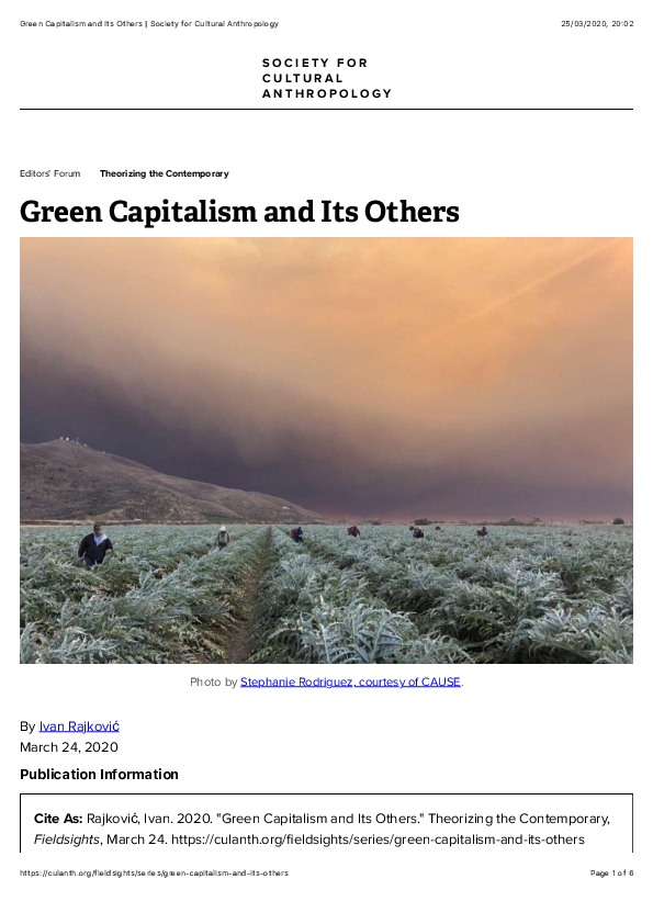 (PDF) Green Capitalism and Its Others