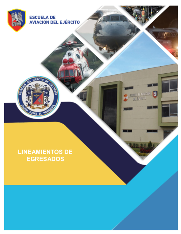 (PDF) Lineamientos de egresados ESAVE