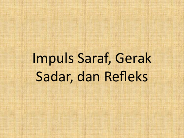 (PPT) Impuls Saraf, Gerak Sadar, dan Refleks