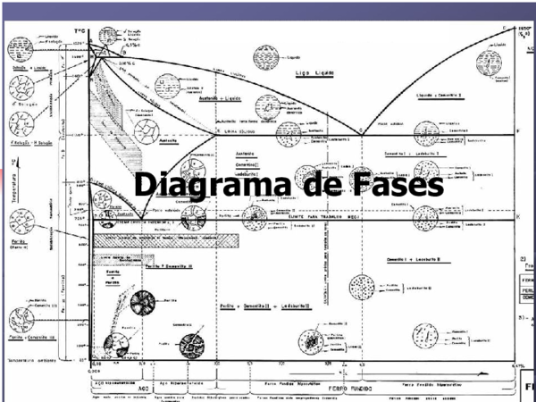 (PPT) Diagrama de Fases